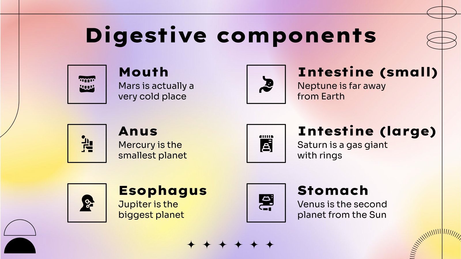 All About Digestion Lesson for High School | Google Slides