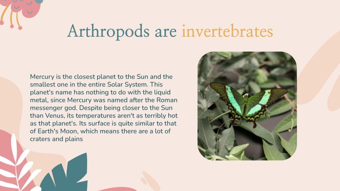 Biology Subject for Middle School: Arthropods Activities