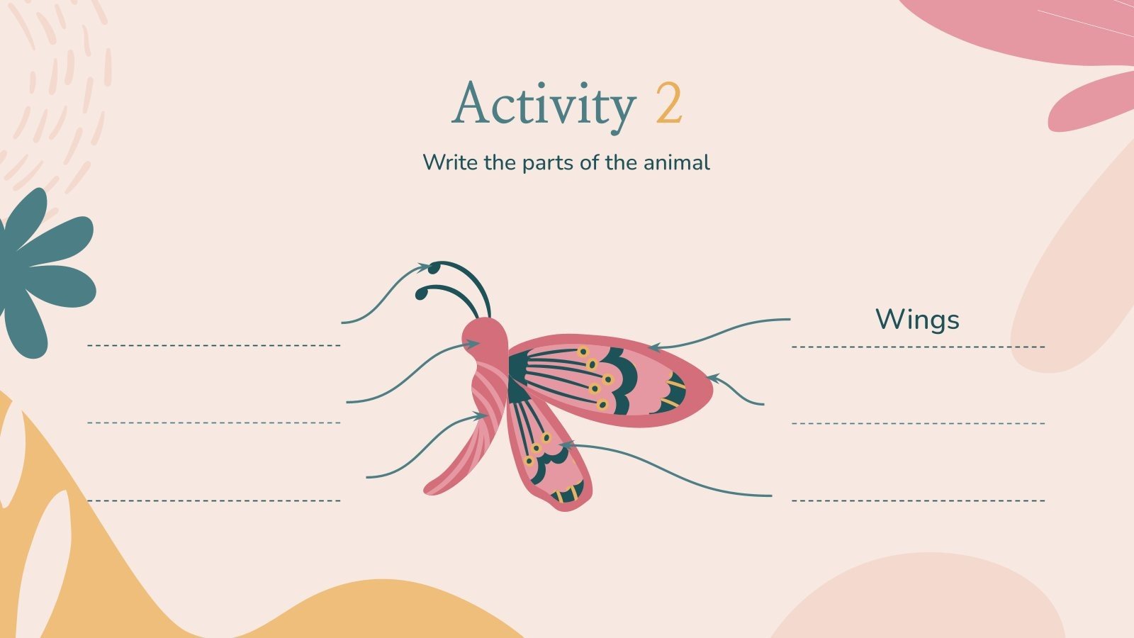 Biology Subject for Middle School: Arthropods Activities