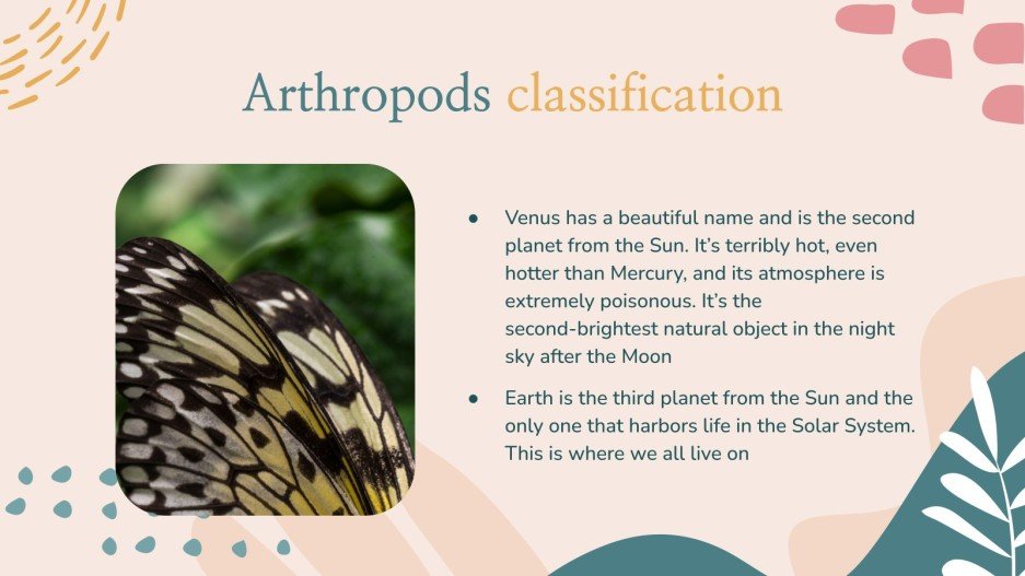 Biology Subject for Middle School: Arthropods Activities