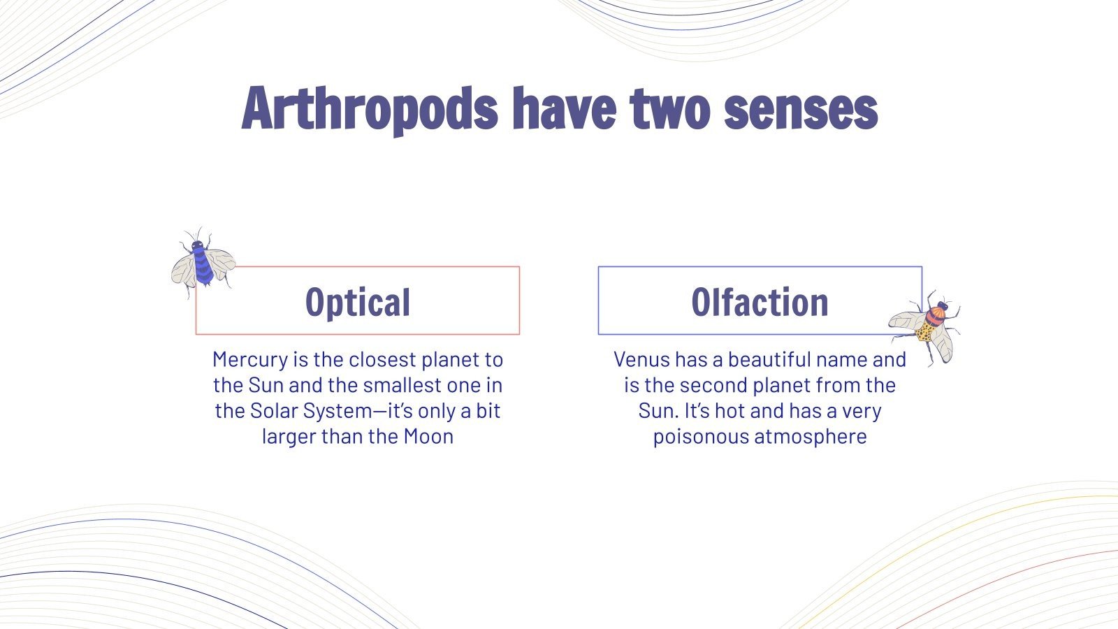 Biology for High School: Arthropods Theory & Exercises