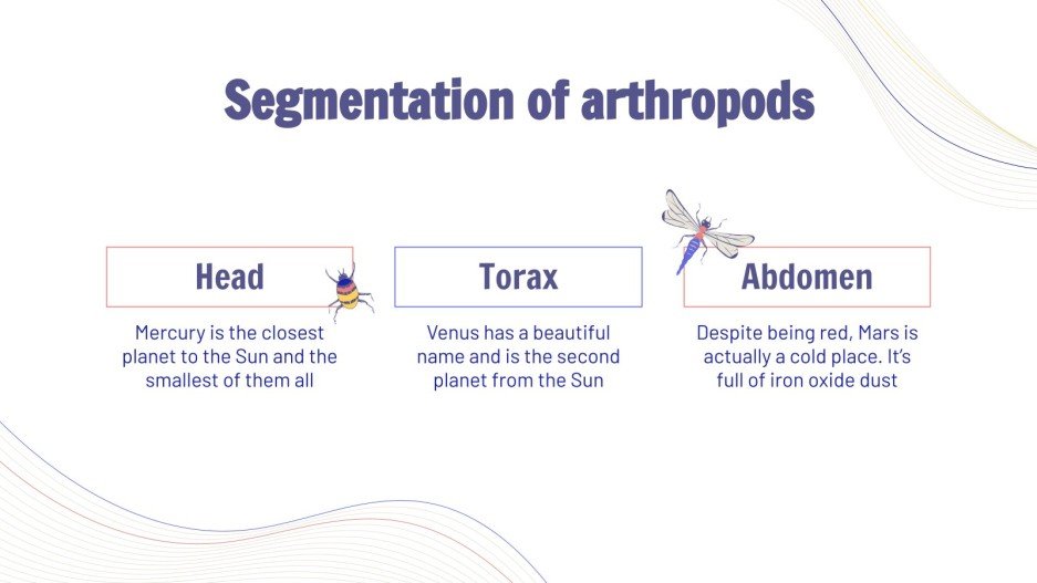 Biology for High School: Arthropods Theory & Exercises