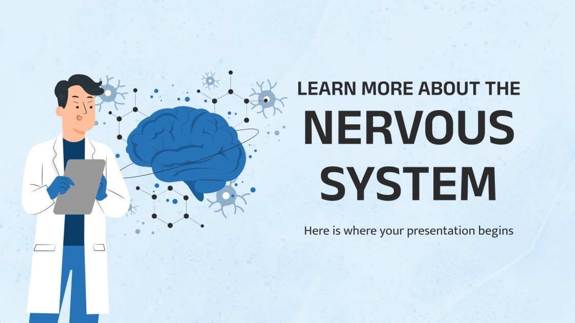 Learn More About the Nervous System | Google Slides & PPT