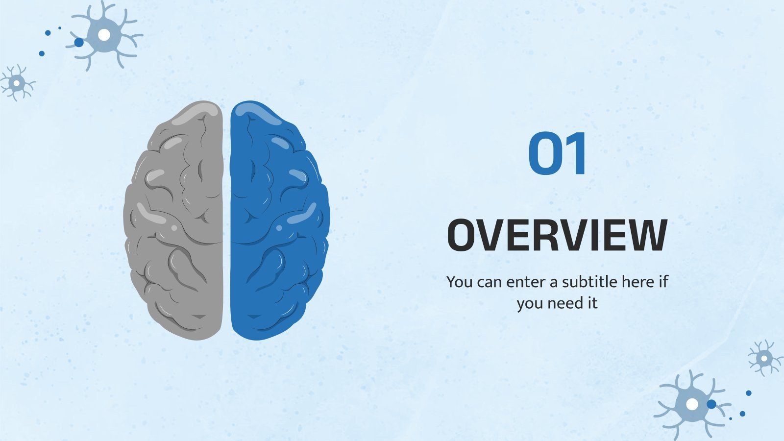 Learn More About the Nervous System | Google Slides & PPT