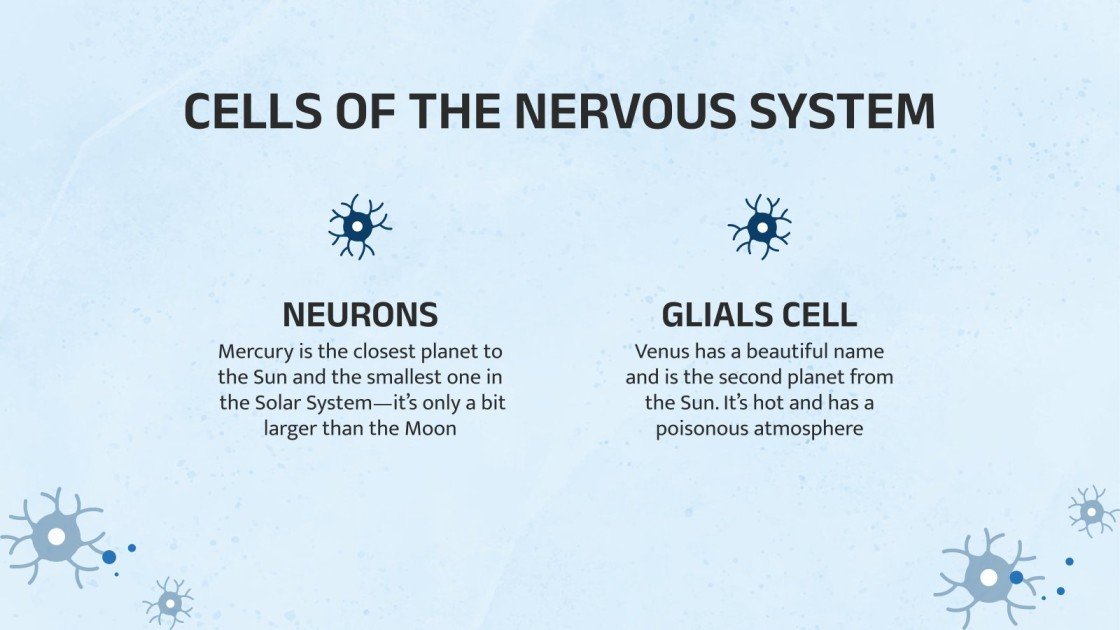 Learn More About the Nervous System | Google Slides & PPT