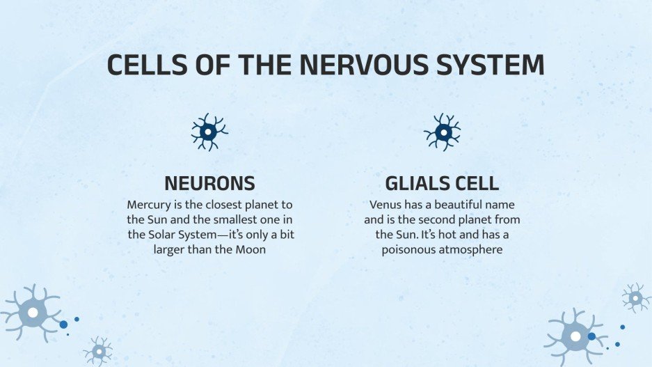 Learn More About the Nervous System | Google Slides & PPT