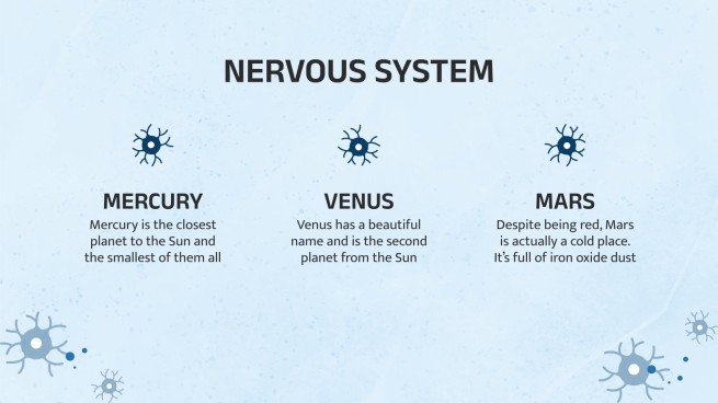 Learn More About the Nervous System | Google Slides & PPT