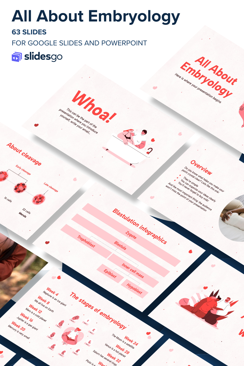 All About Embryology | Google Slides & PowerPoint