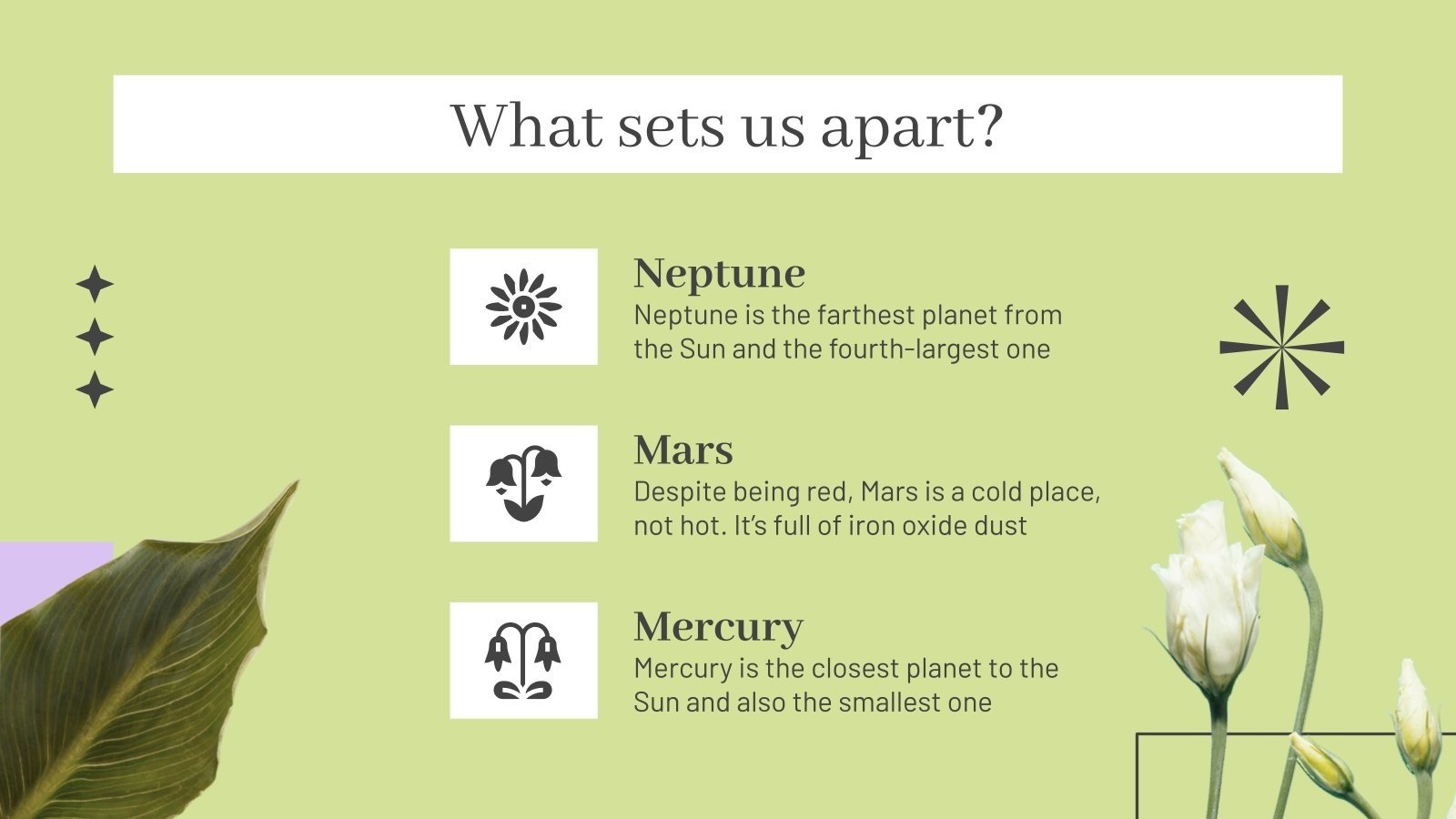 Greenery Botanical Brand MK Plan