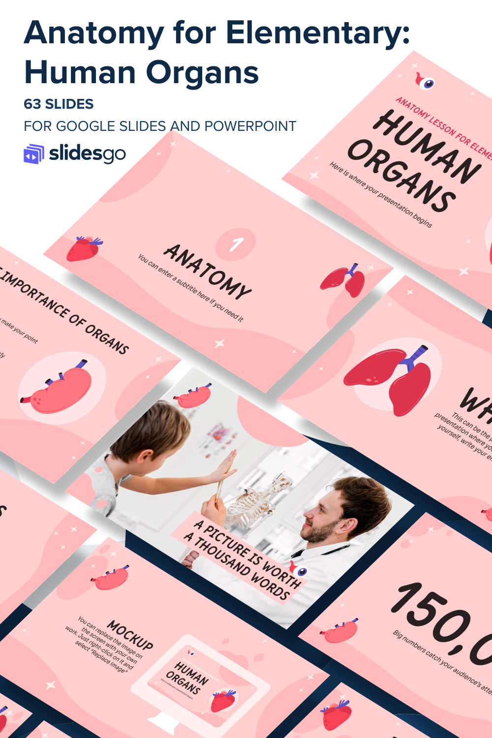 Anatomy Lesson: Human Organs | Google Slides & PPT