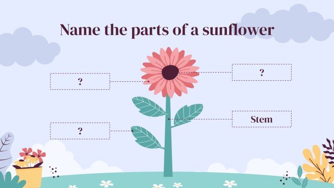 Todo sobre la primavera para niños | Google Slides y PPT