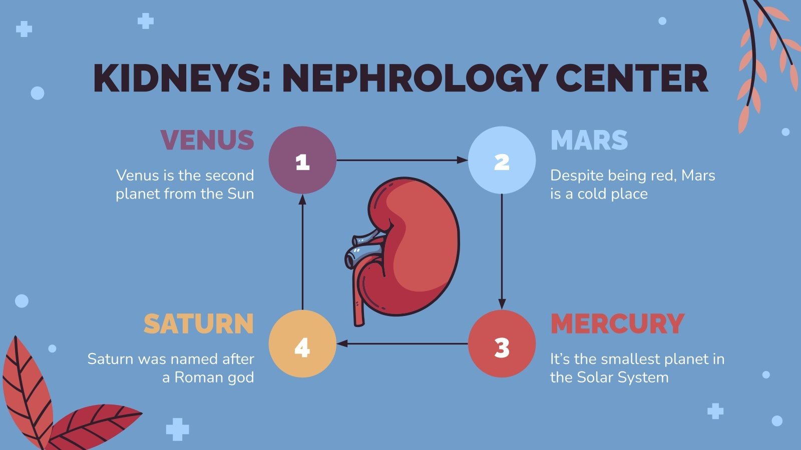 Kidneys: Nephrology Center Infographics | Google Slides
