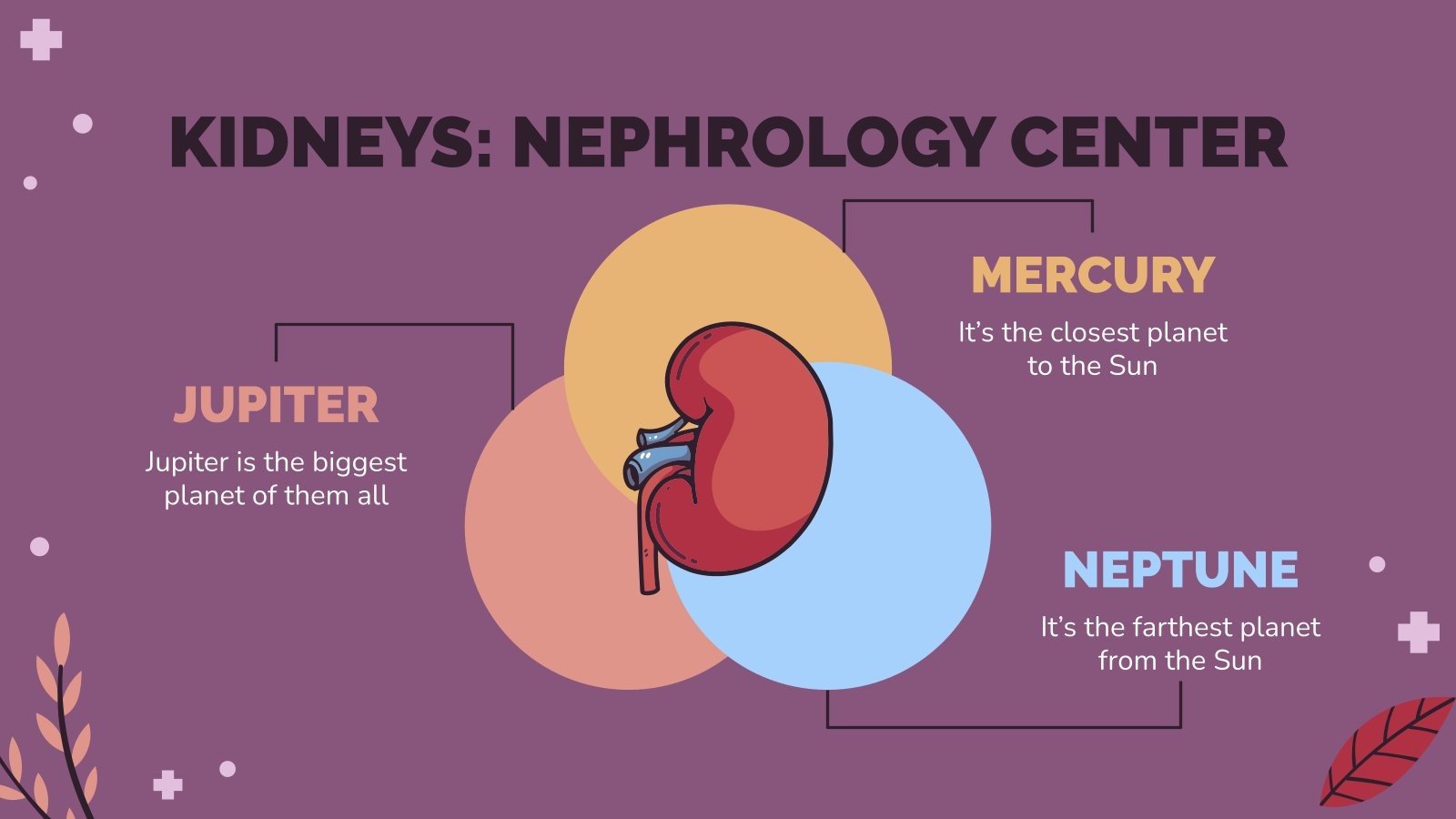 Kidneys: Nephrology Center Infographics | Google Slides