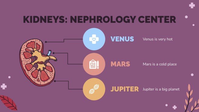 Kidneys: Nephrology Center Infographics | Google Slides