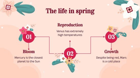 Spring Floral Wonders | Google Slides & PowerPoint