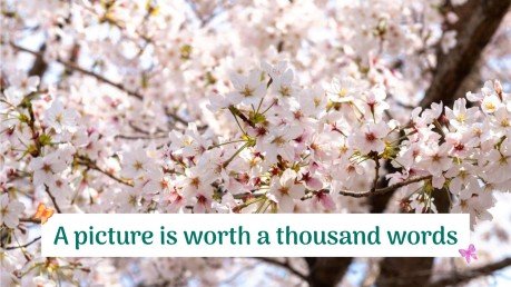 Minithème de la forêt de printemps | Google Slides et PPT