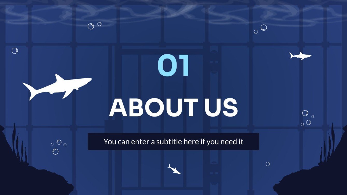 Shark Cage Diving Experience for Social Media