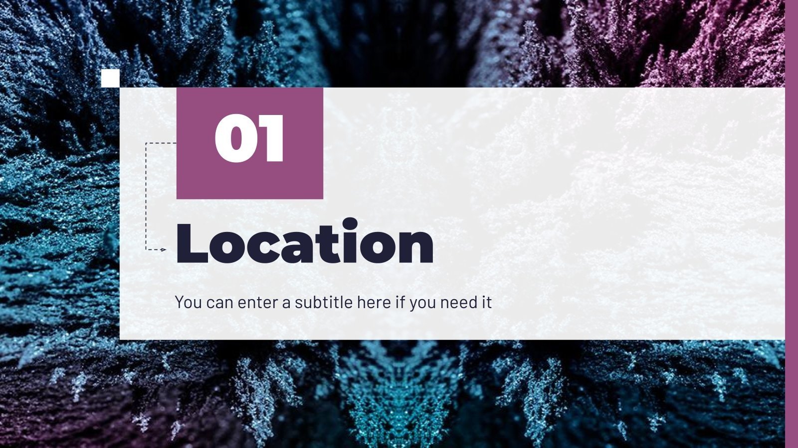 Environmental Biology Major for College: Arctic Tundra Biome