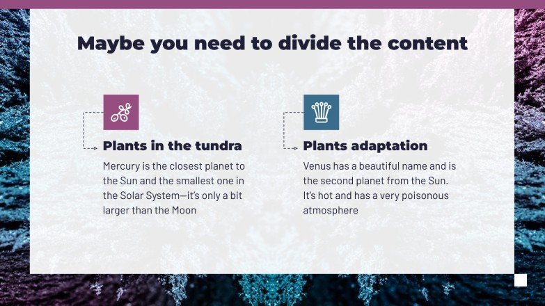 Environmental Biology Major for College: Arctic Tundra Biome