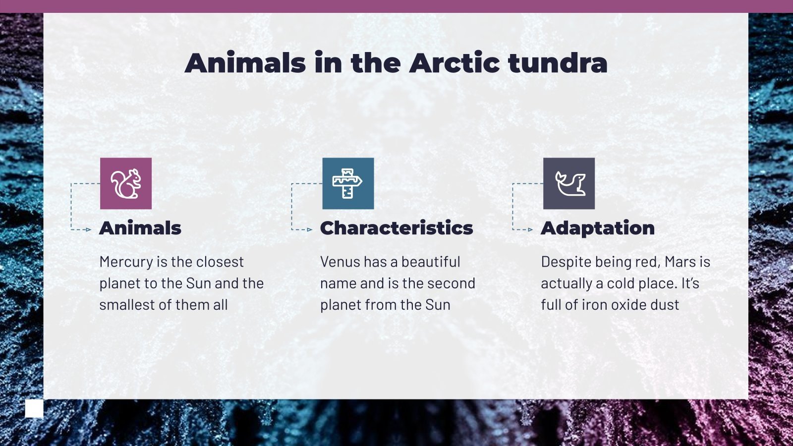Environmental Biology Major for College: Arctic Tundra Biome