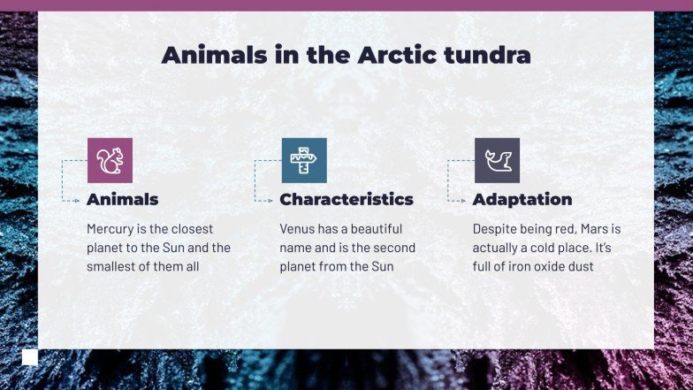 Environmental Biology Major for College: Arctic Tundra Biome