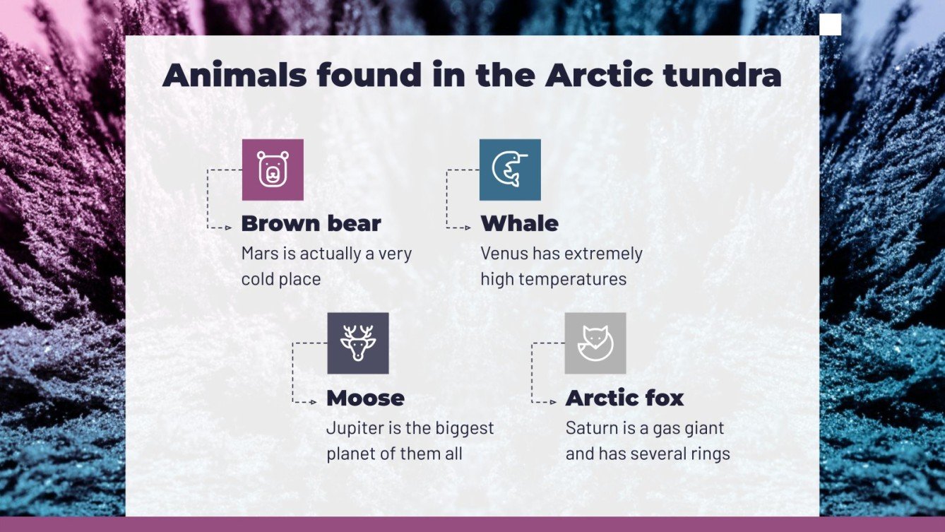 Environmental Biology Major for College: Arctic Tundra Biome