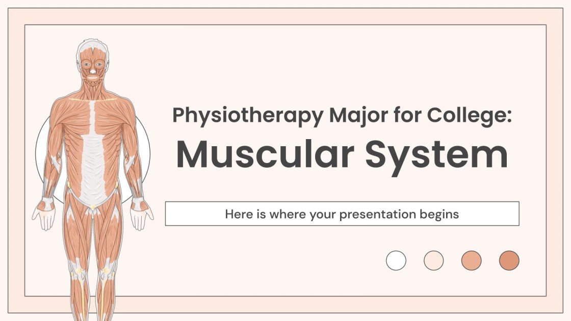 Physiotherapy Major: Muscular System | Google Slides