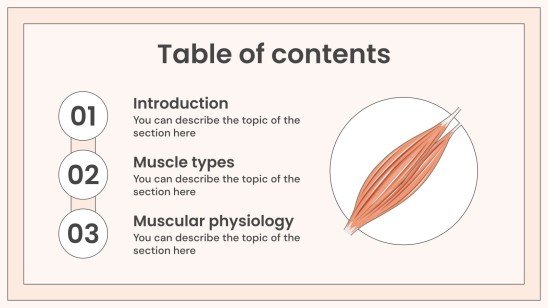 Physiotherapy Major: Muscular System | Google Slides