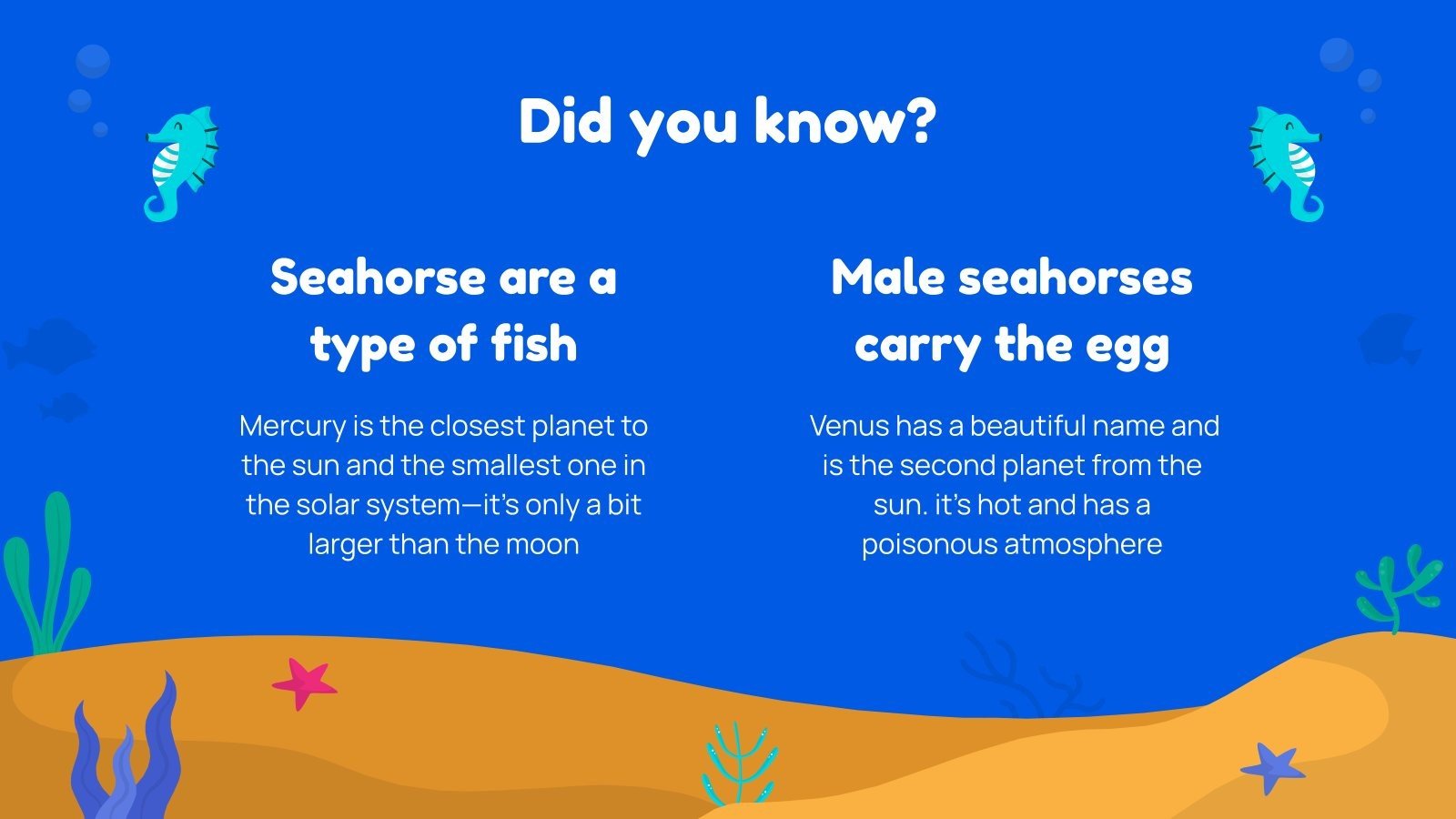 Science Subject for Elementary: Seahorse
