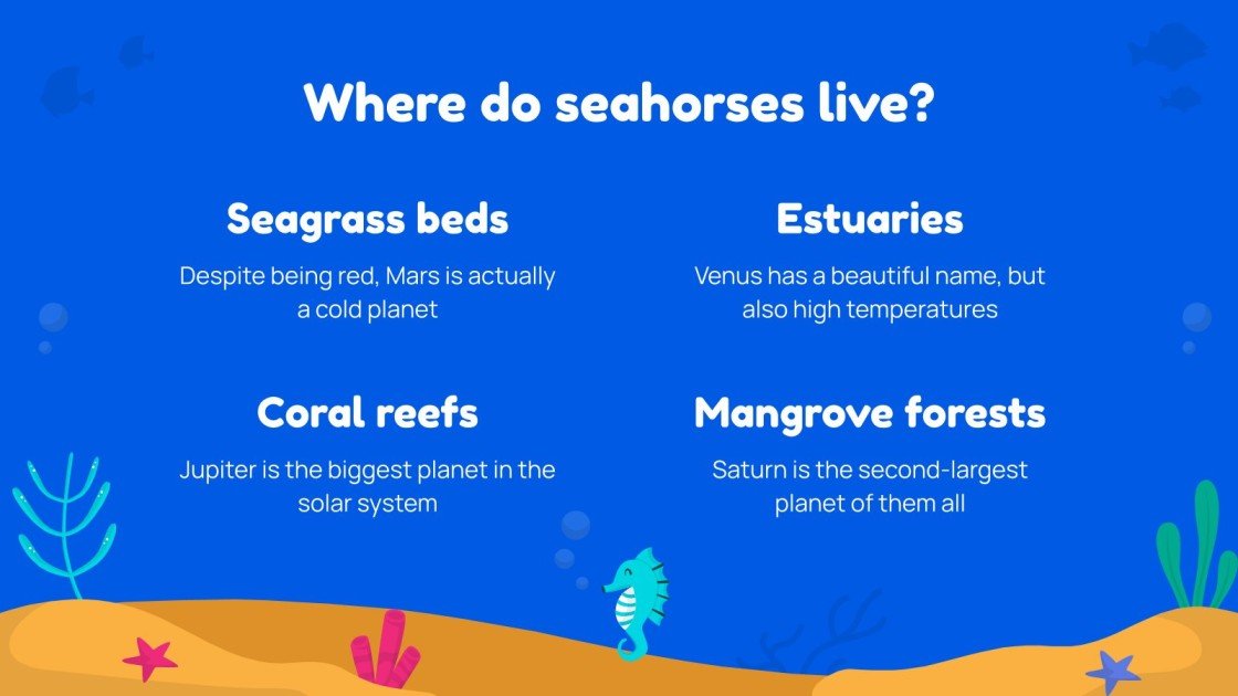Science Subject for Elementary: Seahorse