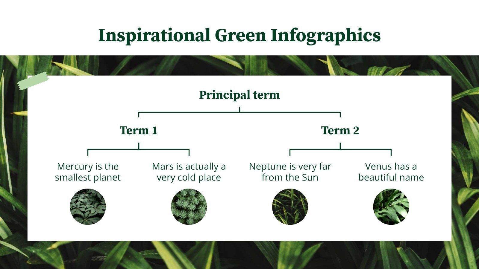 Inspirational Green Infographics | Google Slides & PPT