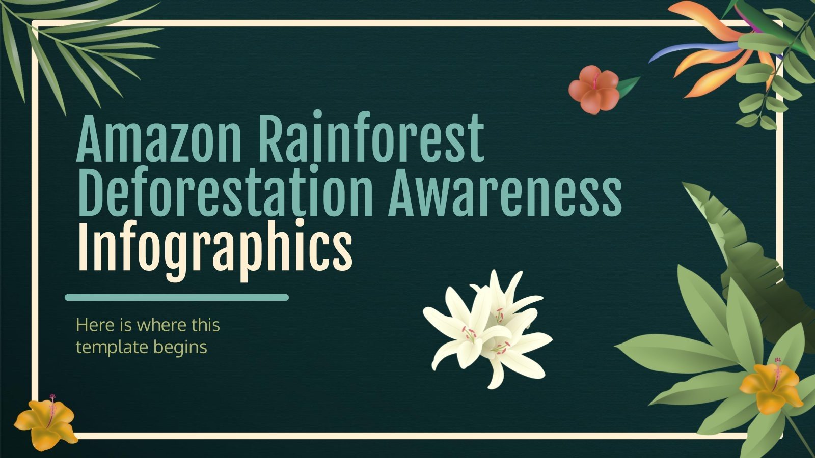 Amazon Rainforest Deforestation Awareness Infographics