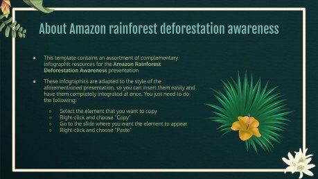 Amazon Rainforest Deforestation Awareness Infographics