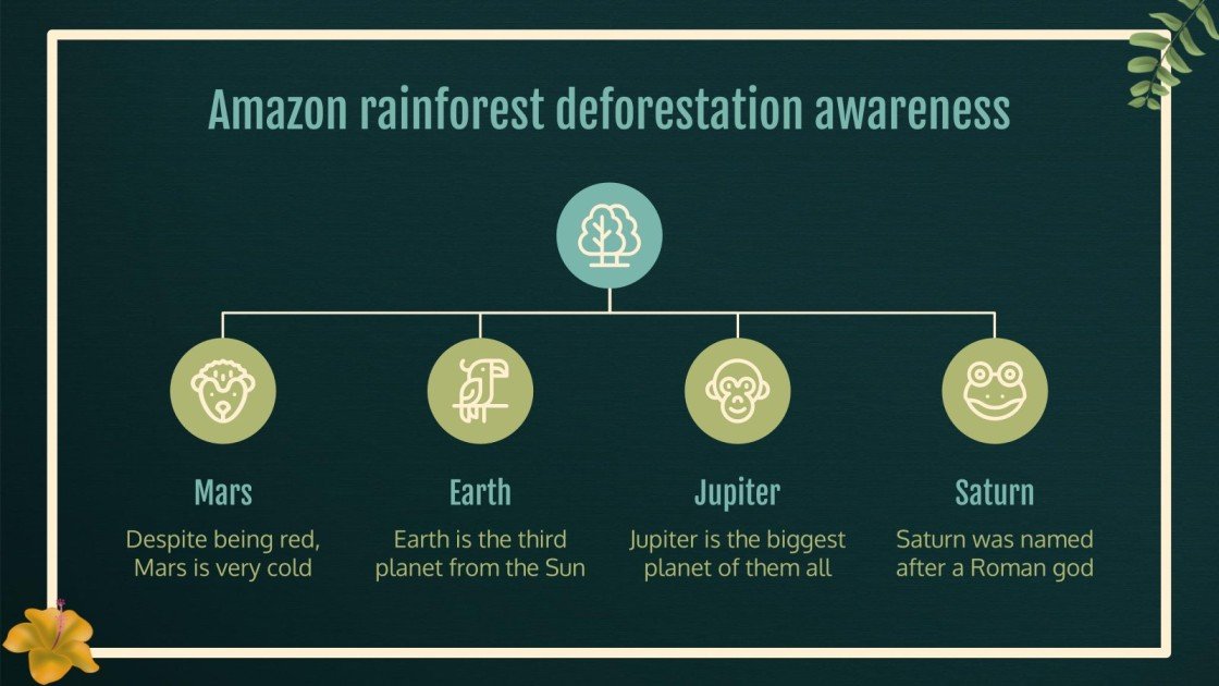 Amazon Rainforest Deforestation Awareness Infographics