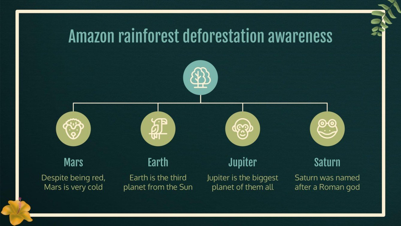Amazon Rainforest Deforestation Awareness Infographics