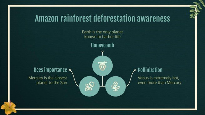 Amazon Rainforest Deforestation Awareness Infographics