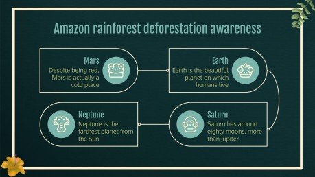 Amazon Rainforest Deforestation Awareness Infographics