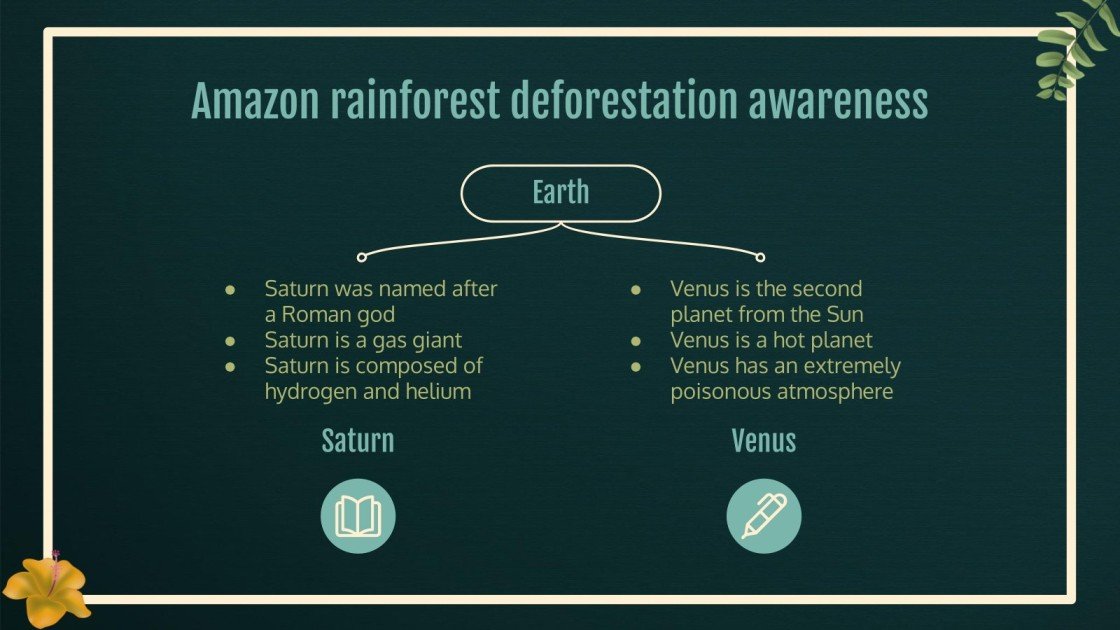 Amazon Rainforest Deforestation Awareness Infographics