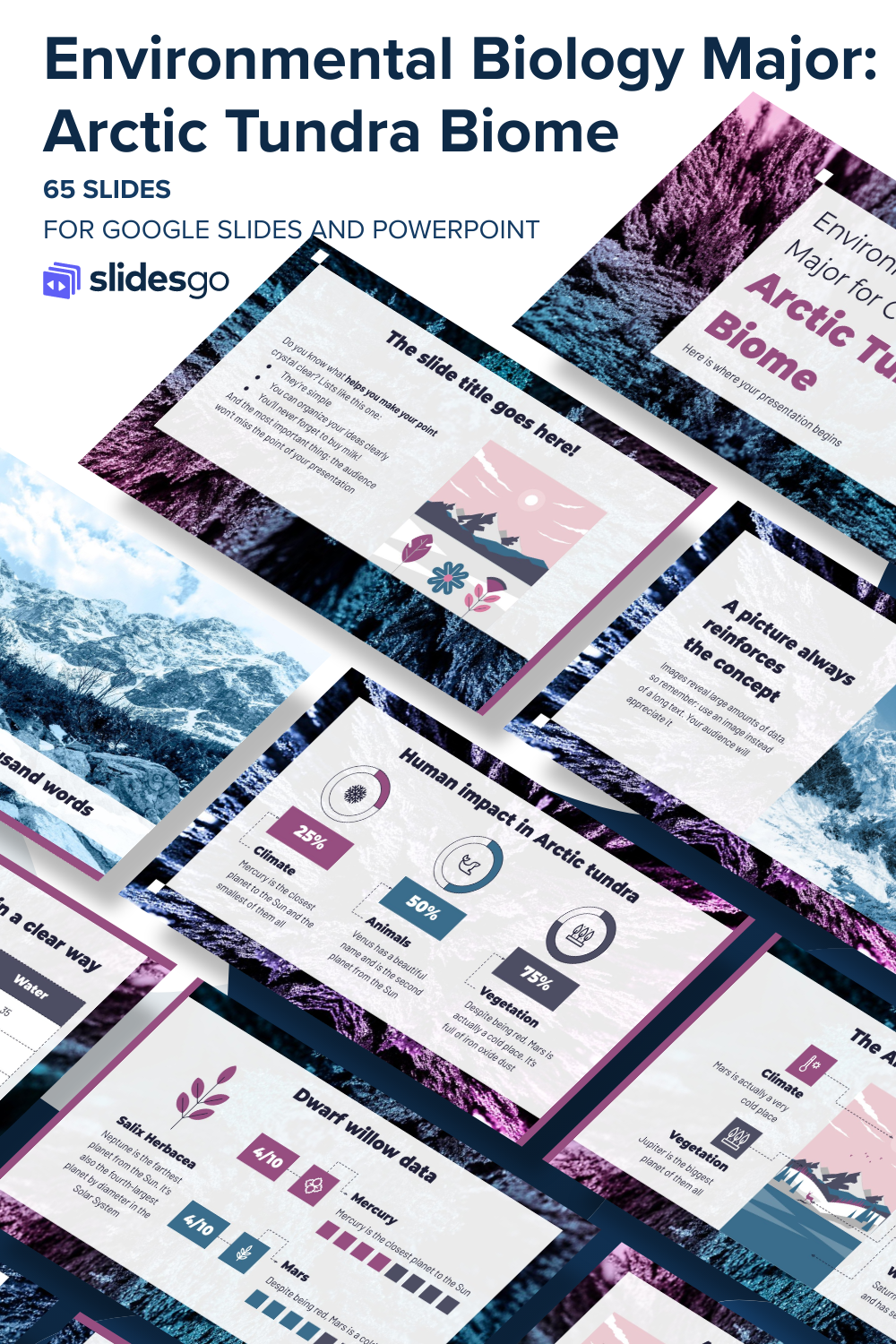 Environmental Biology Major for College: Arctic Tundra Biome