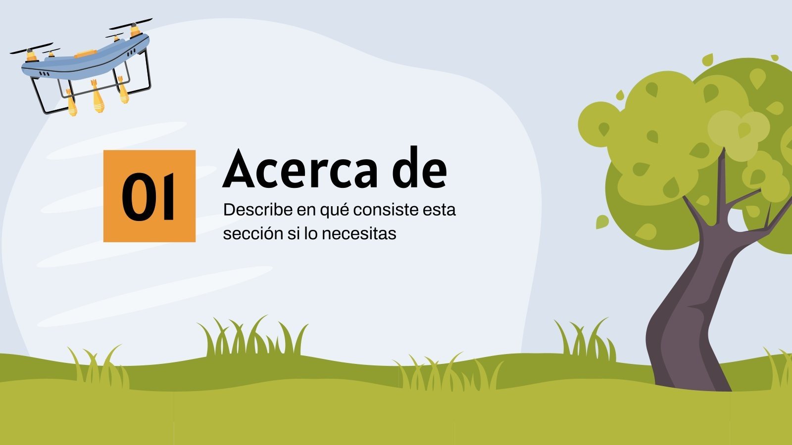 Master's Degree in Remotely Piloted Aircraft System (RPAS)