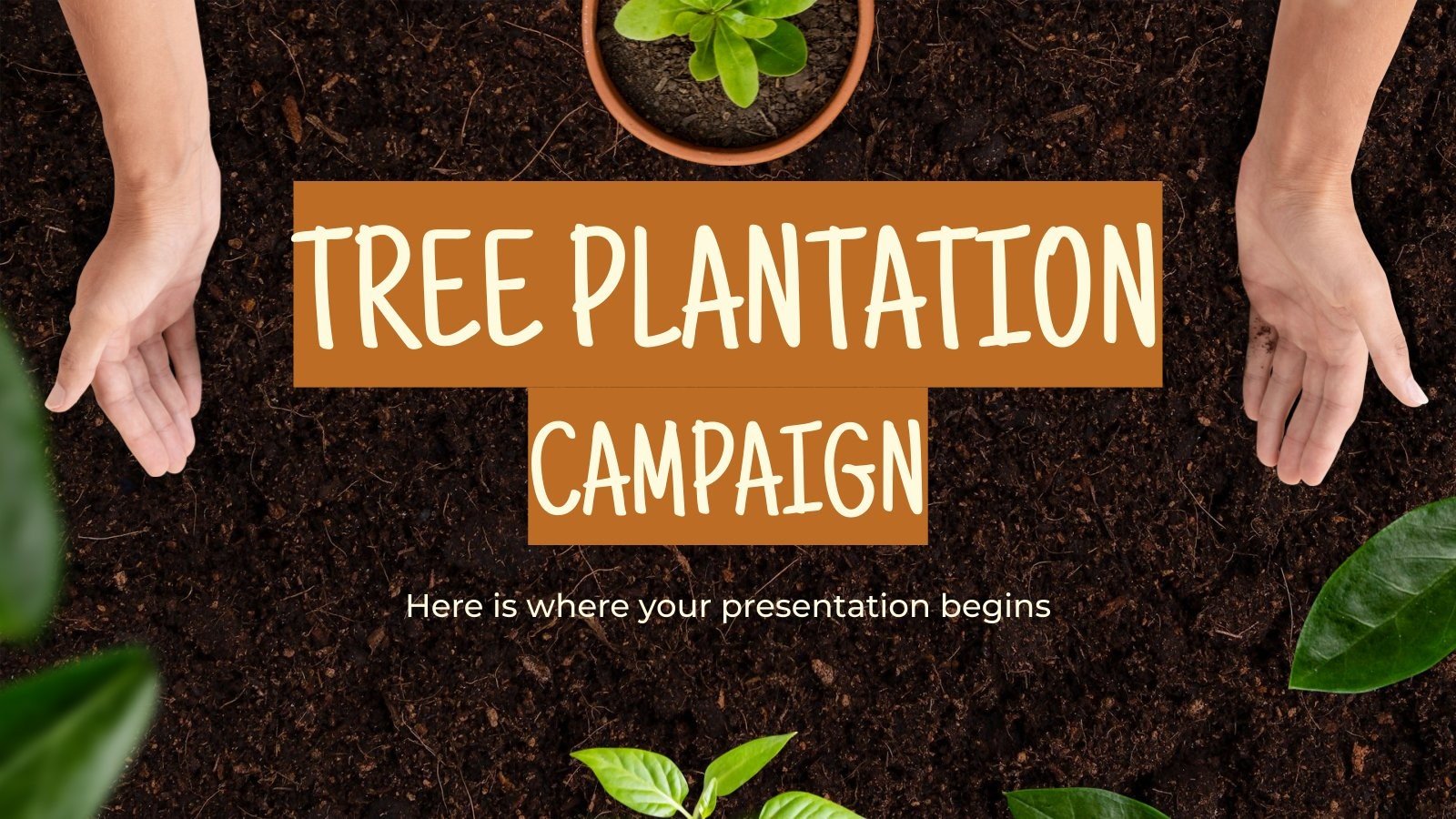 Plantillas de Google Slides y PowerPoint sobre árboles