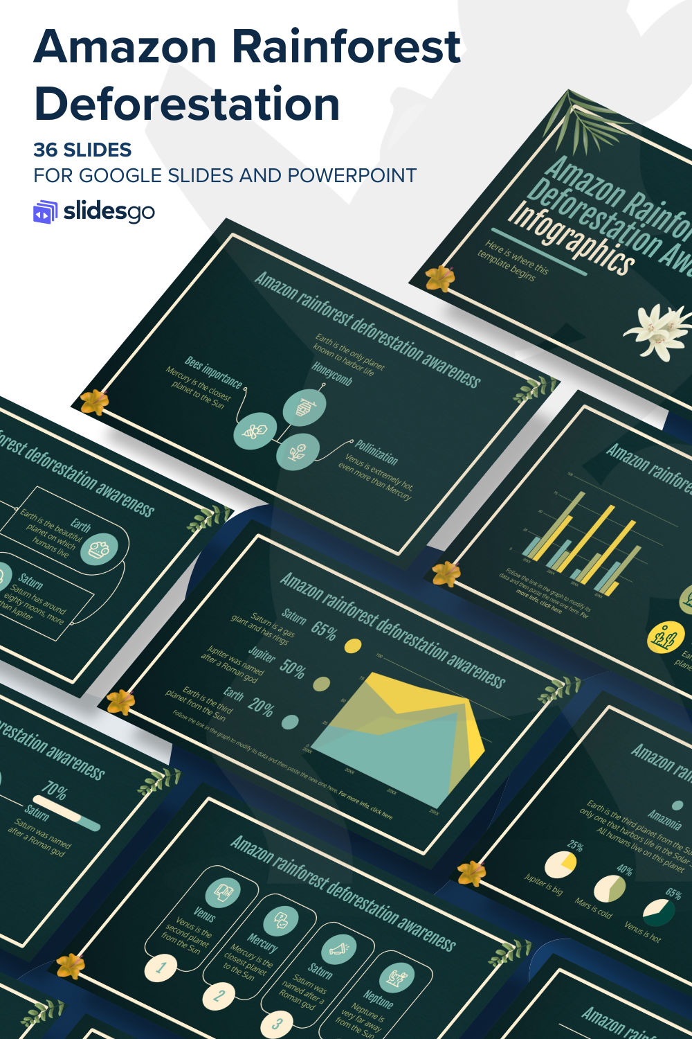 Amazon Rainforest Deforestation Awareness Infographics
