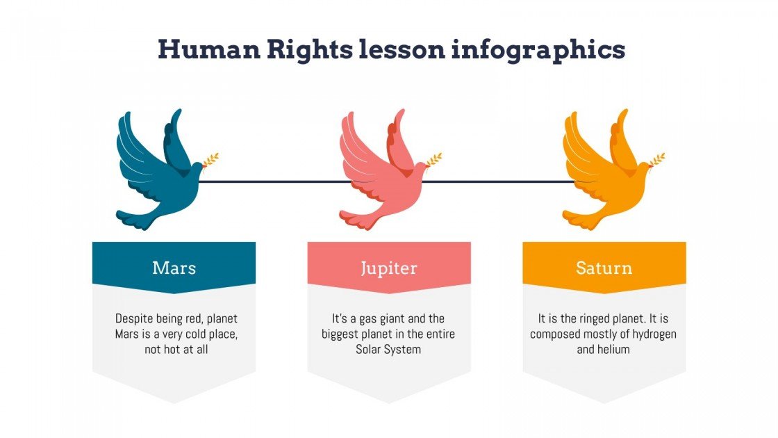 Human Rights Lesson Infographics | Google Slides & PPT