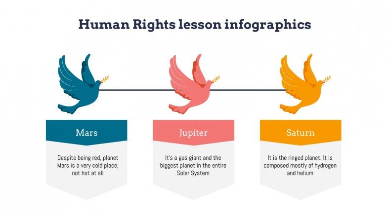 Human Rights Lesson Infographics | Google Slides & PPT