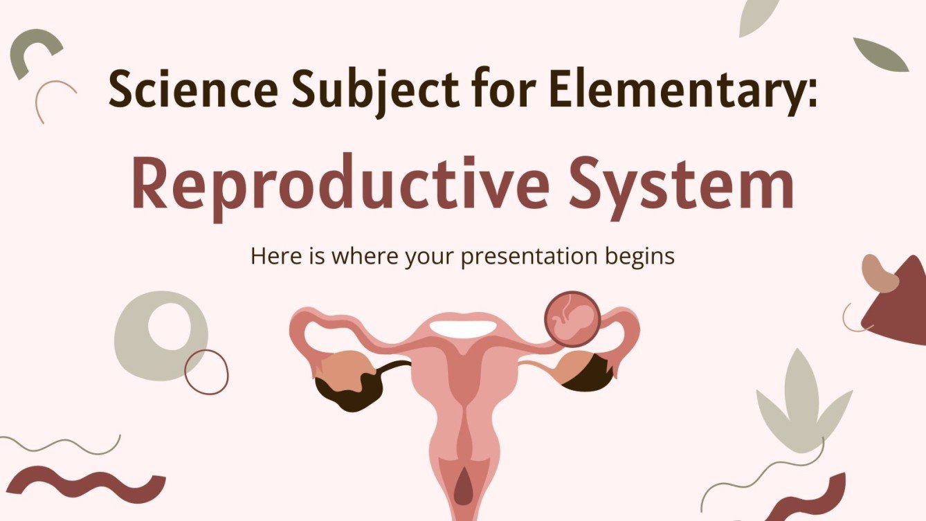 Science Subject for Elementary: Reproductive System
