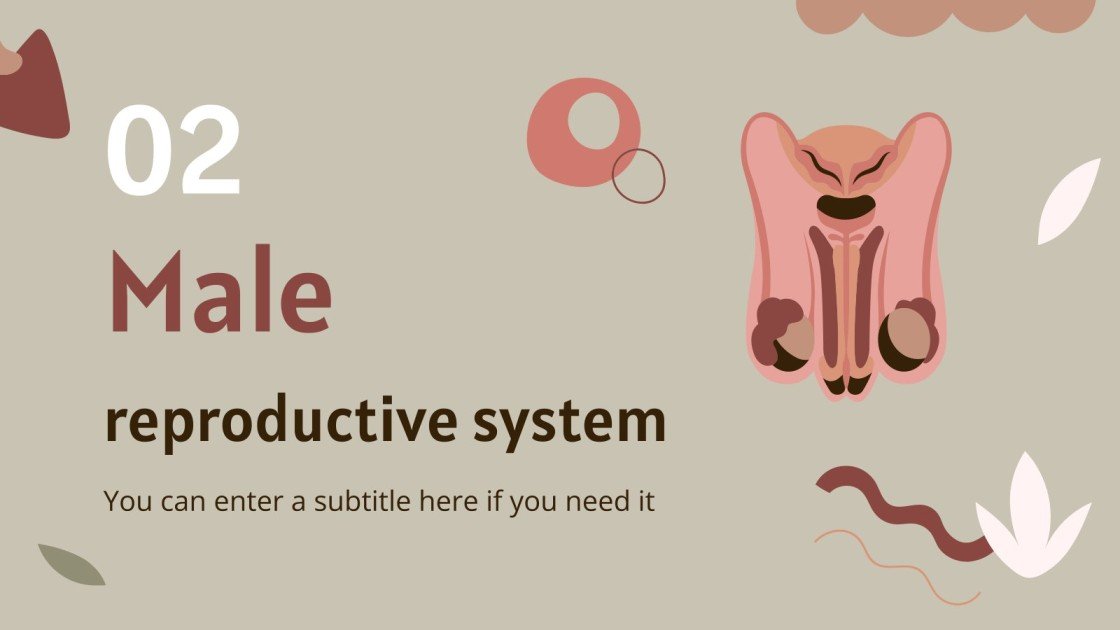 Science Subject for Elementary: Reproductive System