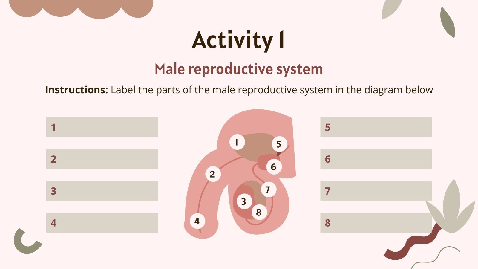 Science Subject for Elementary: Reproductive System