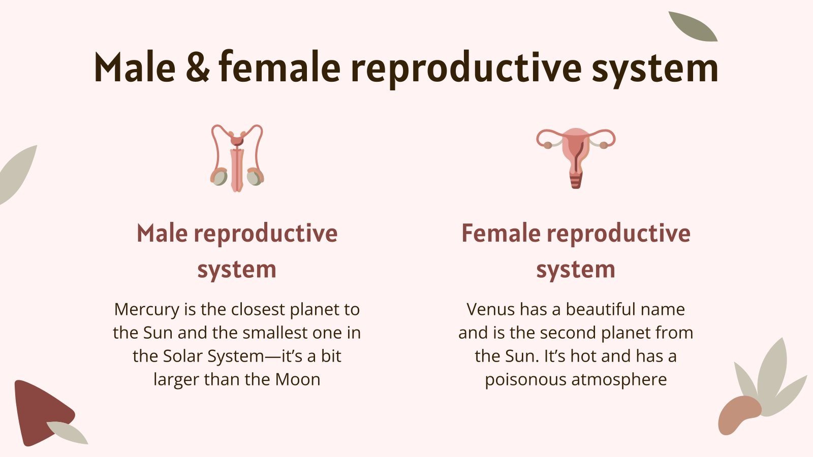 Science Subject for Elementary: Reproductive System