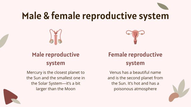 Science Subject for Elementary: Reproductive System