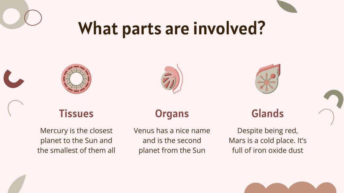 Science Subject for Elementary: Reproductive System